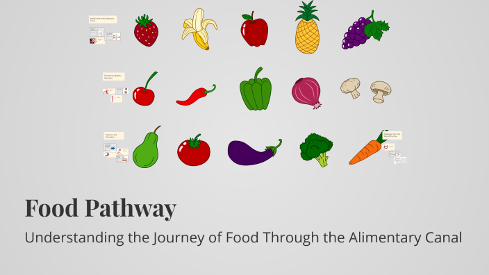 Food Pathway by Tom Diab on Prezi