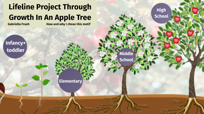 Lifeline Project by Gabriella Frueh on Prezi