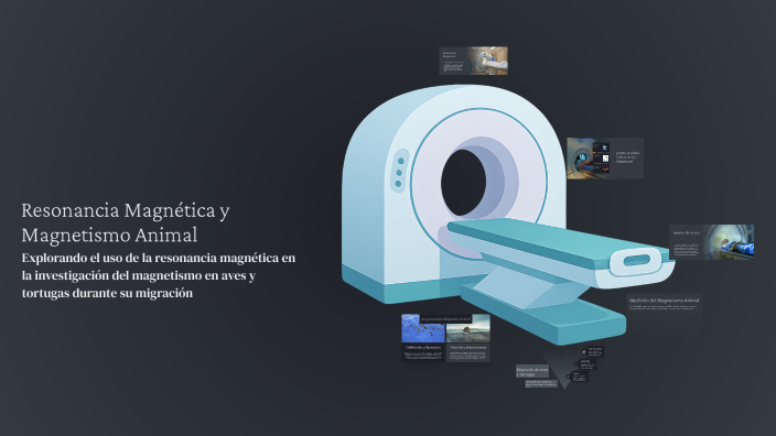 Resonancia Magnética y Magnetismo Animal by manesiba scom on Prezi