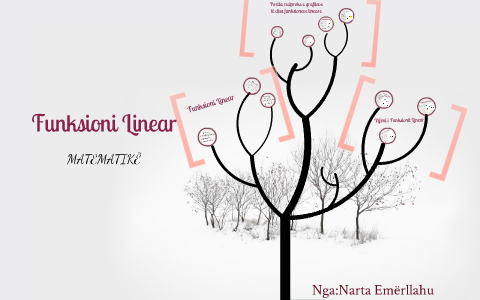 funksionet lineare by Narta Emerllahu on Prezi