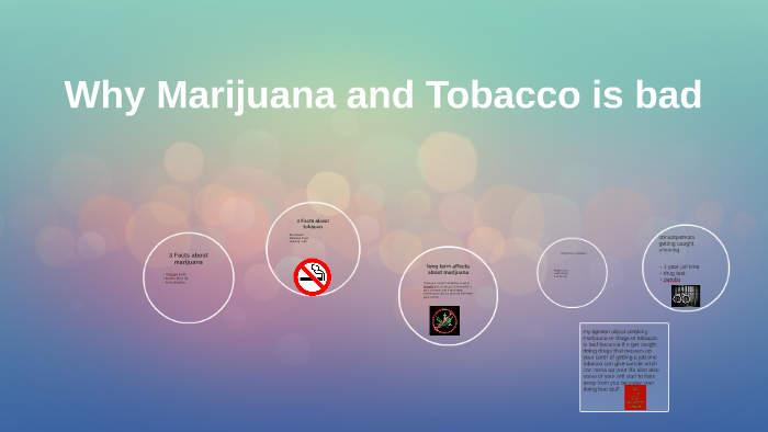 Why Marijuana is bad by Orlando Martinez on Prezi