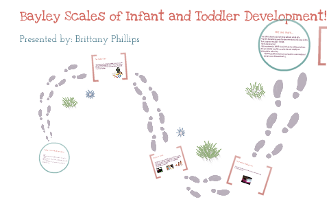 Bayley Scales by Brittany Phillips on Prezi