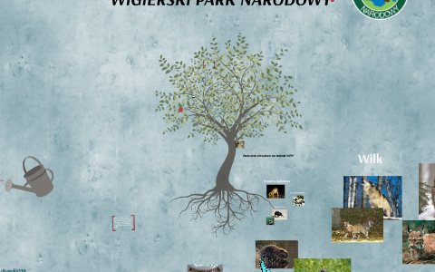 WIGIERSKI PARK NARODOWY by Daniel Brodowski on Prezi