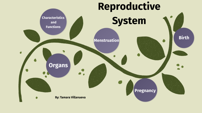 Science Reproductive system by Tamara Villanueva on Prezi