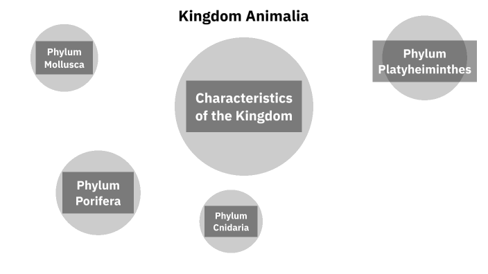 Kingdom Animalia by Roman Caywood on Prezi