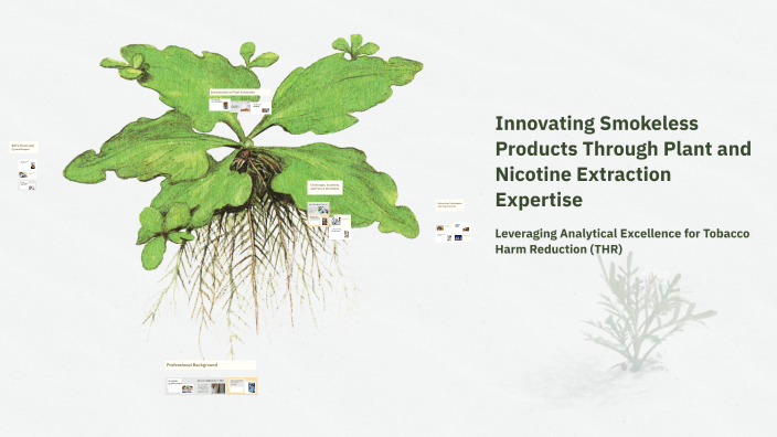 Innovating Smokeless Products Through Plant and Nicotine Extraction ...