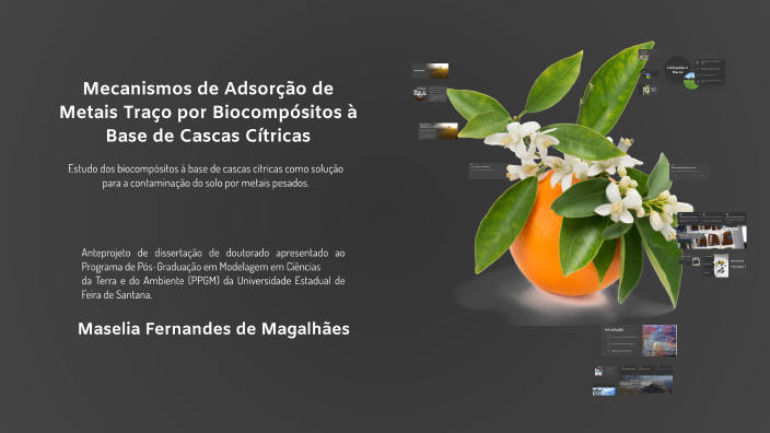 Mecanismos de Adsorção de Metais Traço por Biocompósitos à Base de ...