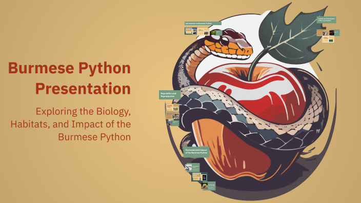 Burmese Python Presentation by Michael WHITLEY-GRASSI on Prezi