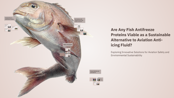 Are Any Fish Antifreeze Proteins Viable as a Sustainable Alternative to ...