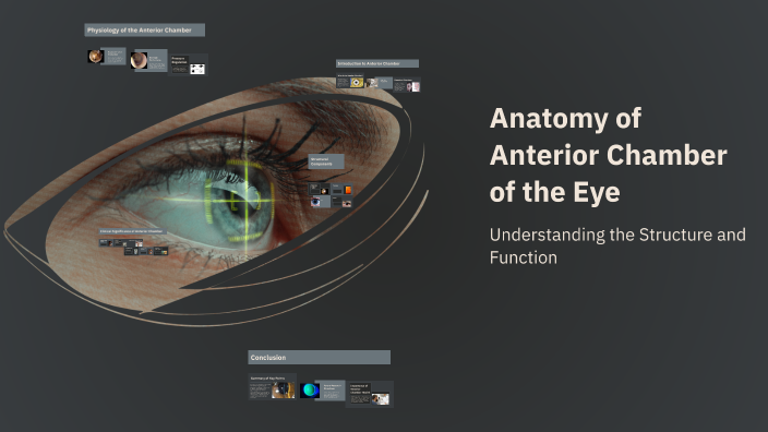 Anatomy of Anterior Chamber of the Eye by Dr. Monit Kumar on Prezi
