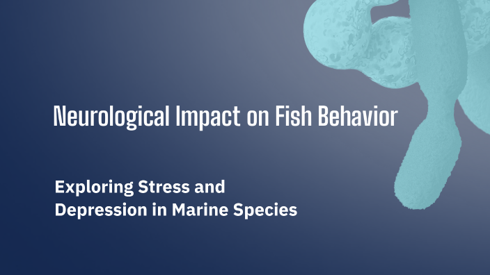 Neurological Impact on Fish Behavior by Nuhaa on Prezi