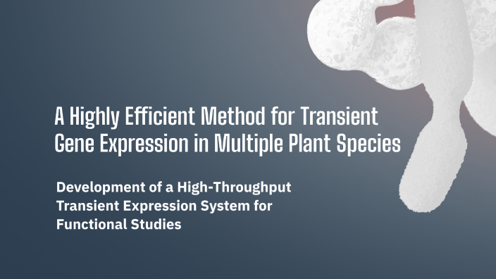 A Highly Efficient Method for Transient Gene Expression in Multiple Plant Species by shahab ...