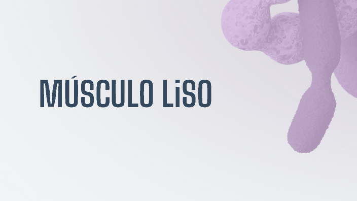 Histología del Músculo Liso by Valeria Gonzalí on Prezi