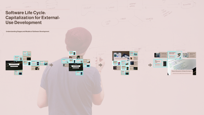 Software Life Cycle and Capitalization for External-Use Development by ...