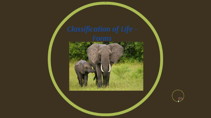 Classification of Life - Forms by Barbara Something on Prezi