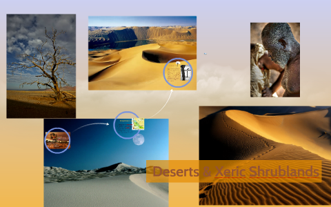 Deserts & Xeric Shrublands by mario escobedo on Prezi