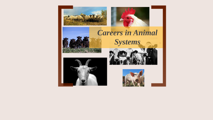Careers in Animal Systems by Denise Mills on Prezi