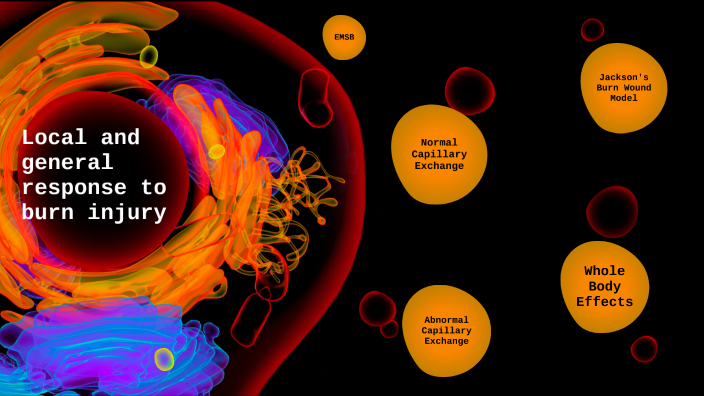 Burn injury pathology by Elizabeth Jones on Prezi