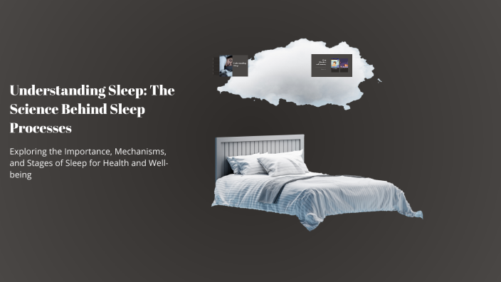 Understanding Sleep: The Science Behind Sleep Processes by fatima ...