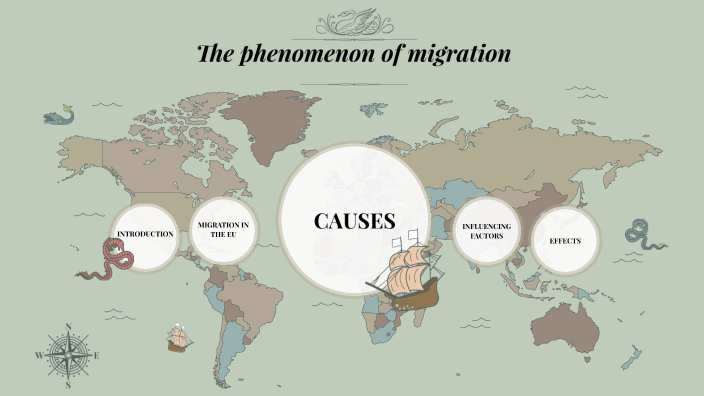 The phenomenon of migration by . . on Prezi