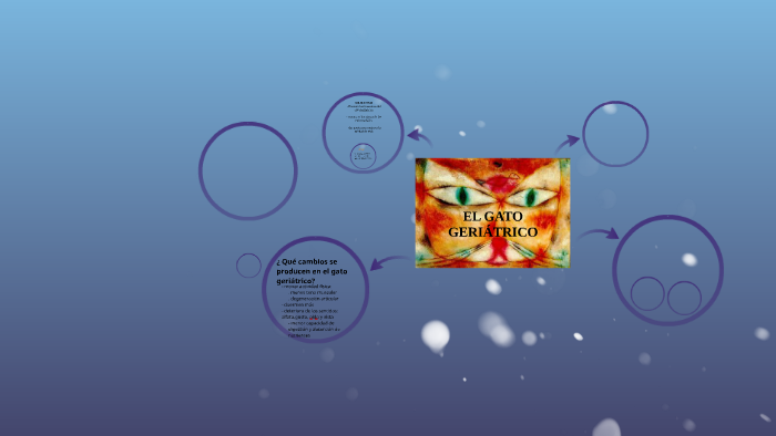 EL GATO GERIÁTRICO by Eva López on Prezi
