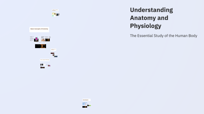 Understanding Anatomy and Physiology by Miles P on Prezi
