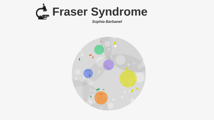 Fraser Syndrome by Sophia Barbanel on Prezi