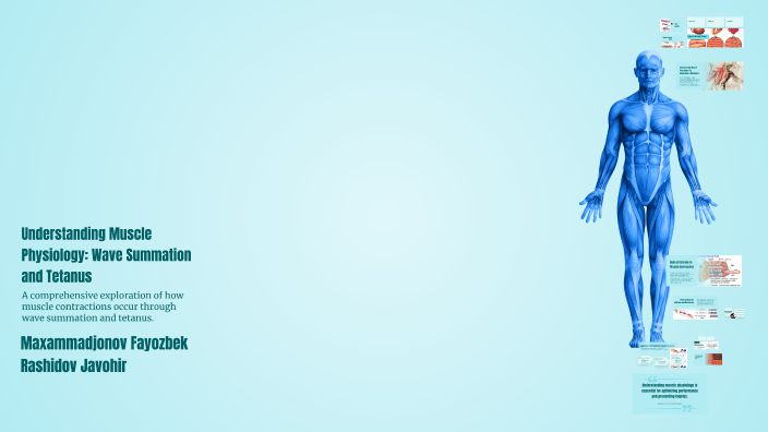 Understanding Muscle Physiology: Wave Summation and Tetanus by Fayozbek ...