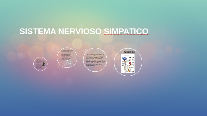 SISTEMA NERVIOSO SIMPATICO by valentina garibello pardo
