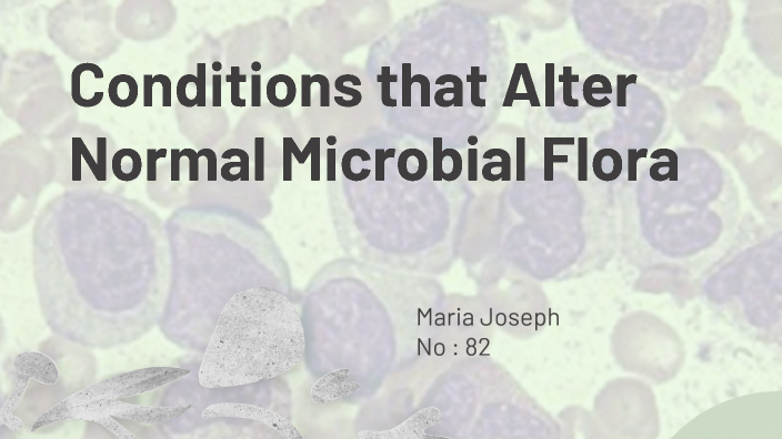 Conditions that Alter Normal Microbial Flora by maria jsd on Prezi