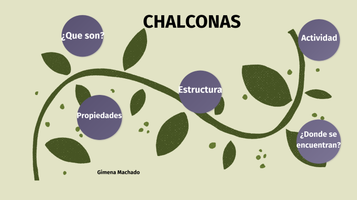 Chalconas by Gimena Machado on Prezi