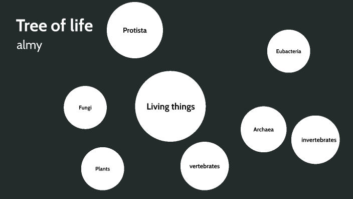 tree of life... almy by Austin Almy on Prezi