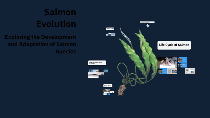 Salmon Evolution by Sindre Stolt-Nielsen on Prezi