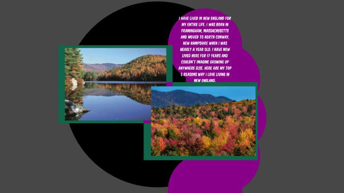 Top 5 List by Cassandra Hurd on Prezi