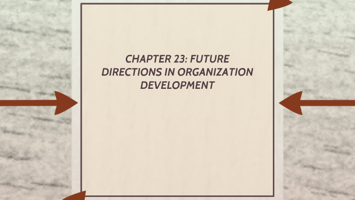 CHAPTER 23: FUTURE DIRECTIONS IN ORGANIZATION DEVELOPMENT by Laurence ...