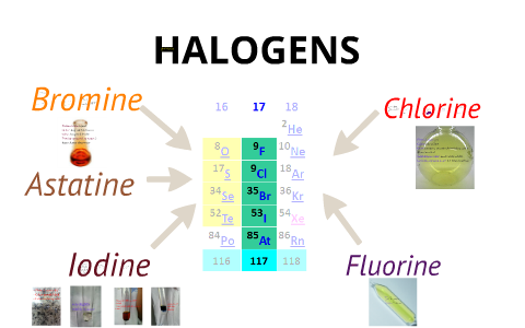HALOGENS by on Prezi