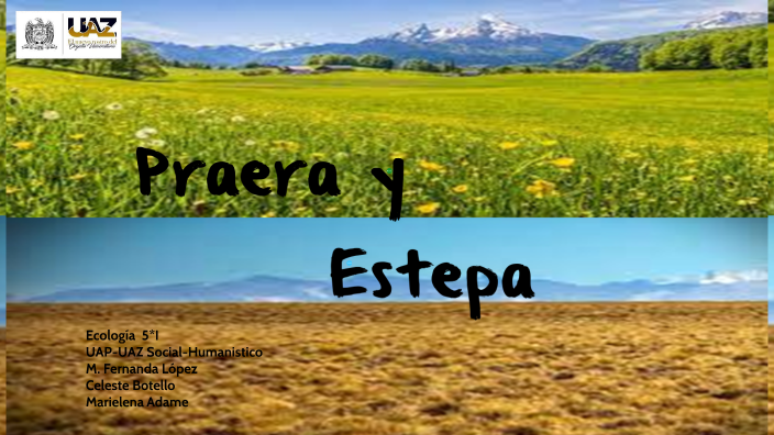 Pradera y Estepa by Fernanda López on Prezi
