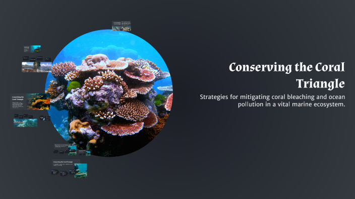 Conserving the Coral Triangle by Ethan G on Prezi