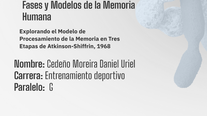 Fases y Modelos de la Memoria Humana by Dany CM on Prezi