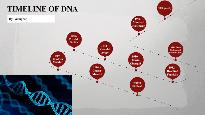Timeline of DNA by Guang Hao Luo on Prezi