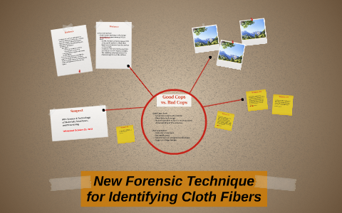 New Forensic Technique for Identifying Cloth Fibers by Nina Castillo on ...