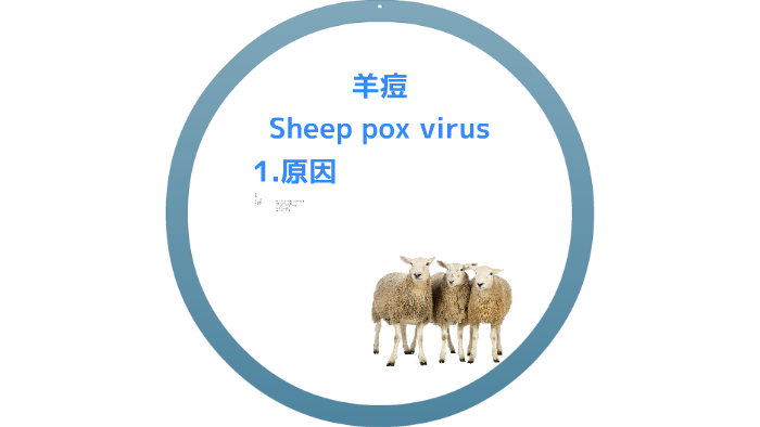 Sheep pox virus by meronn oi on Prezi