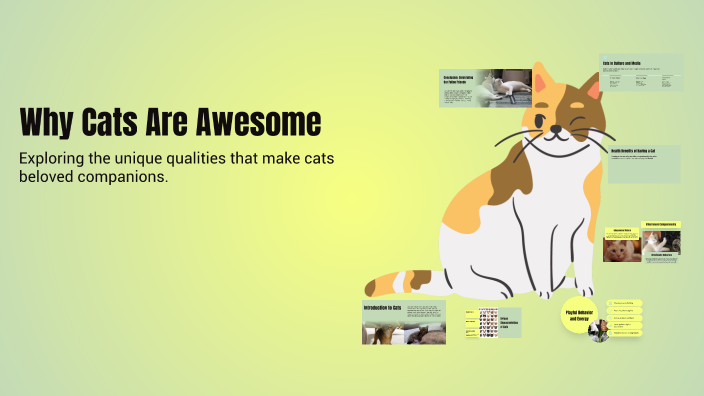Why Cats Are Awesome by Reese Patterson on Prezi