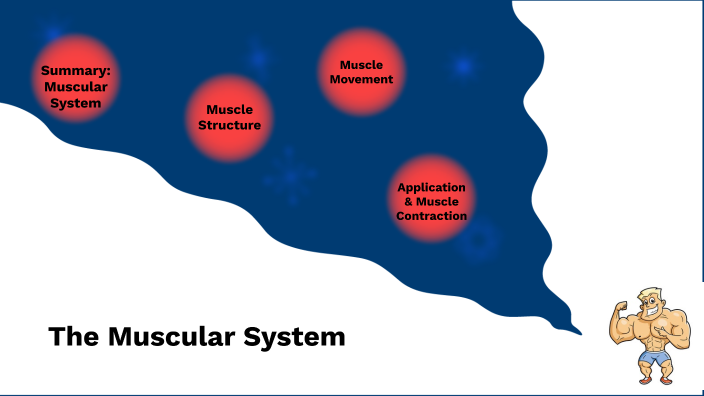 Muscle Structure and Movement by Jackson on Prezi