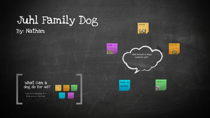 Juhl Family Dog by Nathan Juhl on Prezi