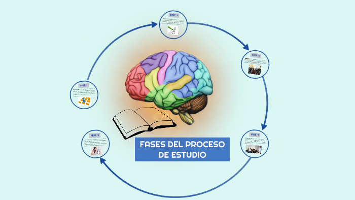 FASES DEL PROCESO DE ESTUDIO by Adriana Farfan on Prezi