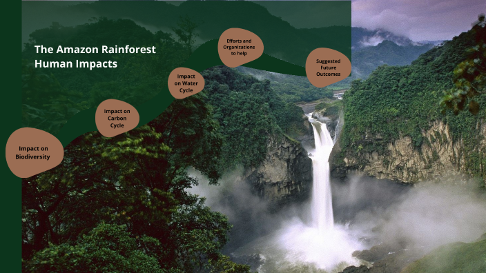The Amazon Rainforest Human Impact Project by Janice Rivera on Prezi
