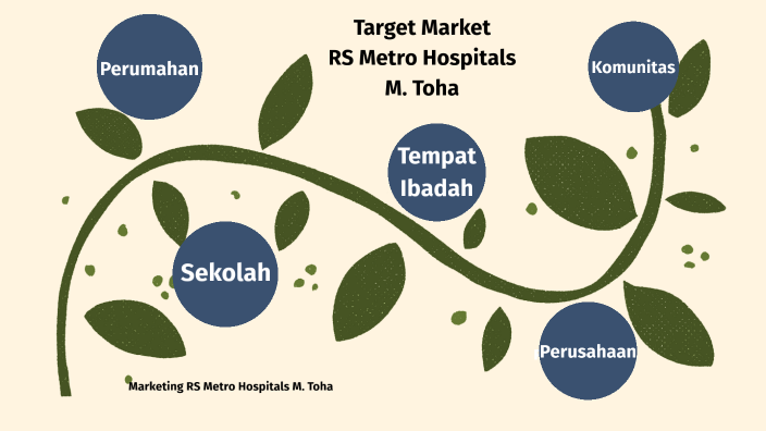 TARGET MARKET RS METRO HOSPITALS M. TOHA by Marketing MHMT on Prezi