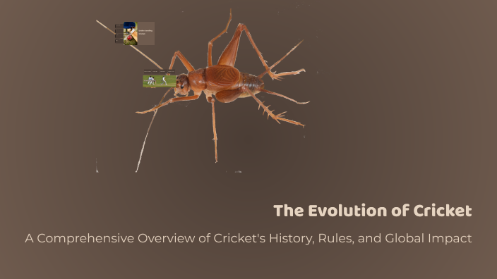 The Evolution of Cricket by jktyiojy6ihy jjyjuyy on Prezi
