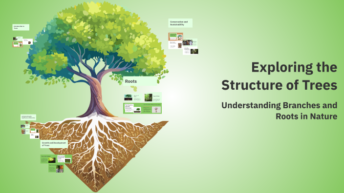 Exploring the Structure of Trees by Chantal Pare on Prezi